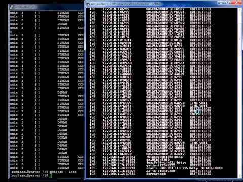 nettools netstat