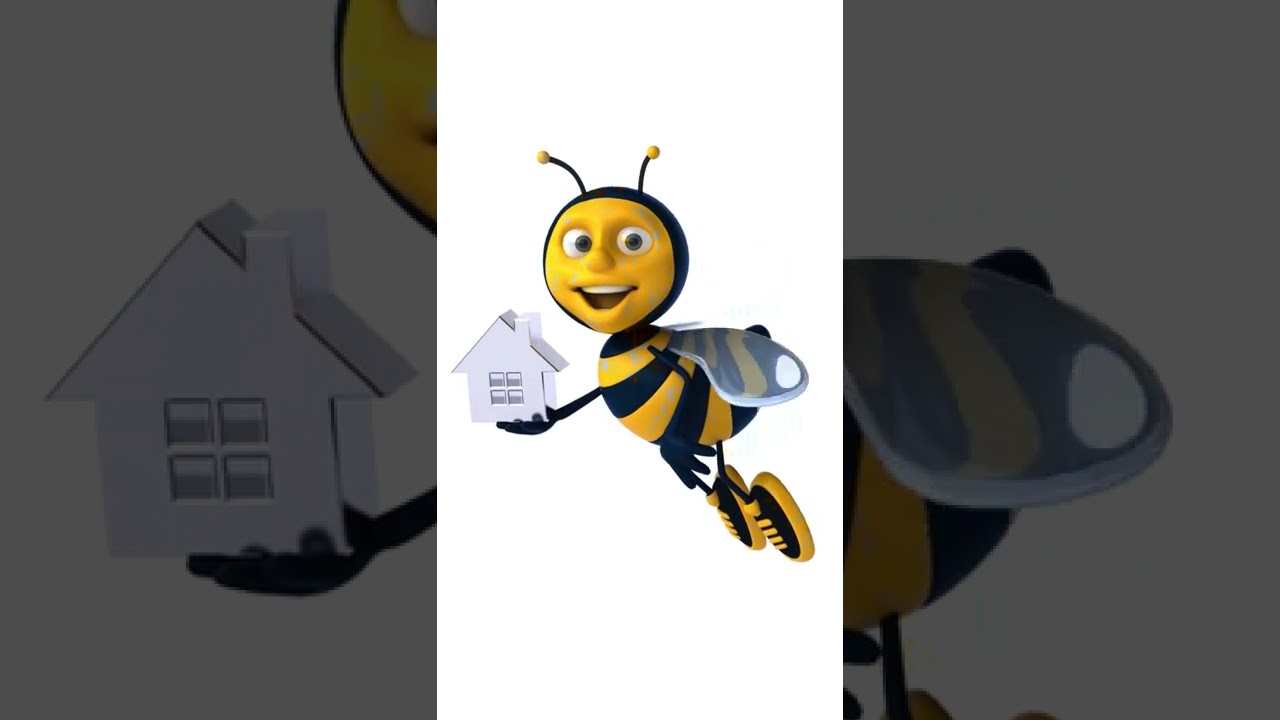 Bee Flying Wasp Insect 3d Cartoon House Home I vfx8k  #VISUALFX28 #3d
