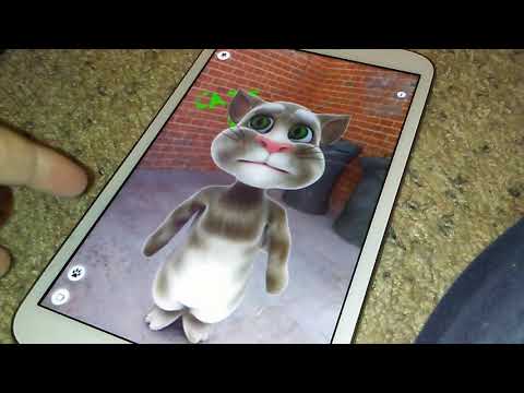 The Original Talking Tom Review!