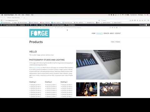 Forge WordPress Website Tutorial - Add PDF Download File