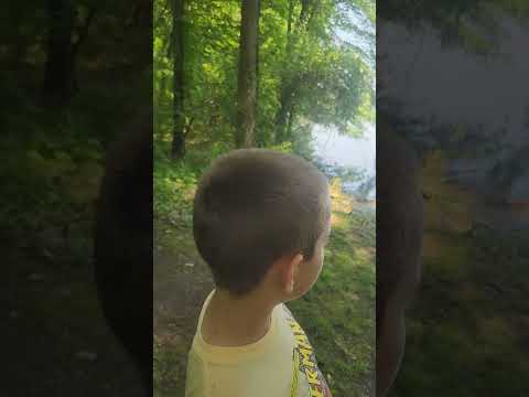 Nature Walk #excercise #outdoors #woods #water
