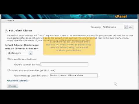 How To Setup A Catch All Email Account | Website Hosting Tutorial