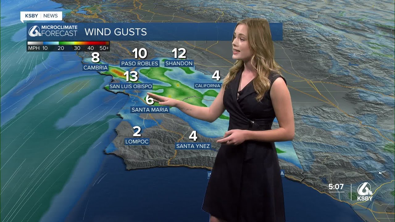 Warm, windy and sunny week ahead