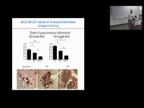 Lessons from Tuberculosis Vaccines
