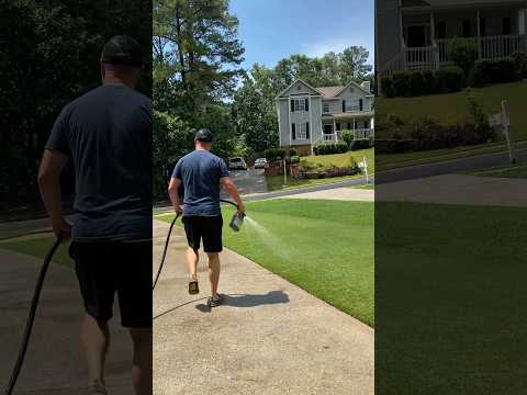 Make your lawn dark green, ready for the 4th of July.