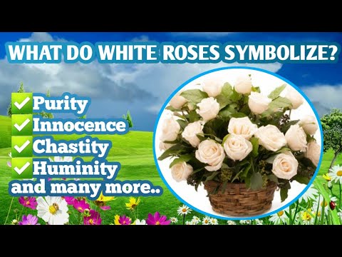 #WhiteRoses | |#RosasBlancas | #Symbolize #Purity #Goddess | #ColorMeaning #shorts