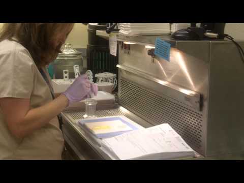 Grossing Workstation - Histopathology Workstation Latest Price ...