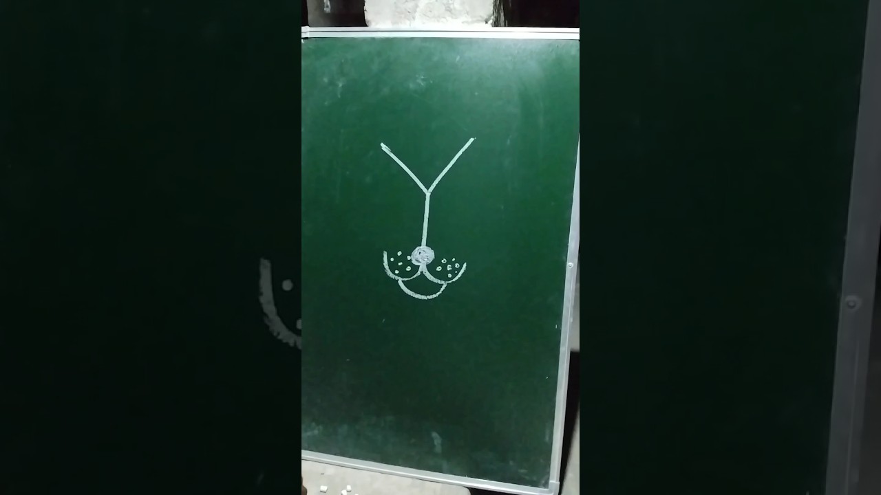 how to draw lion ♌ face letter Y#viral #easydrawing #lion