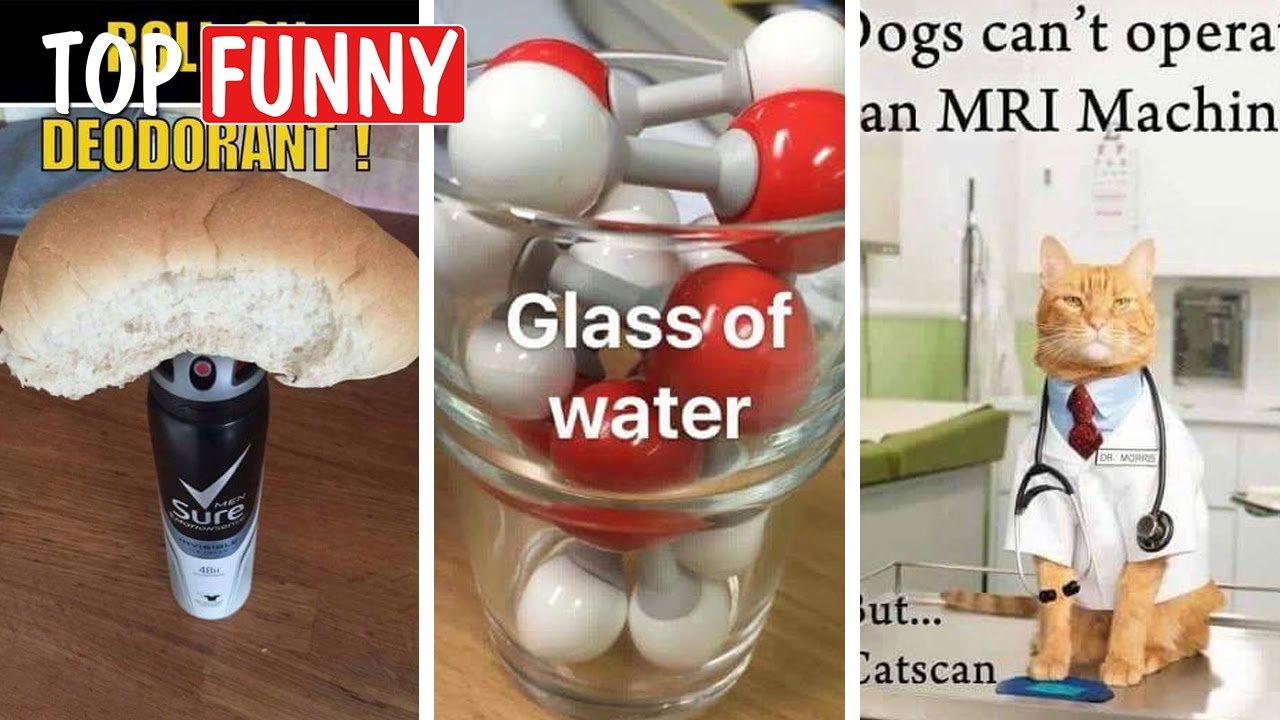 20 Puns That Are So Bad They Are Actually Good - Top Funny