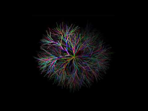 Fractal Tree Process In Processing