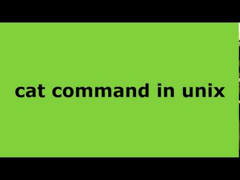 cat command in unix