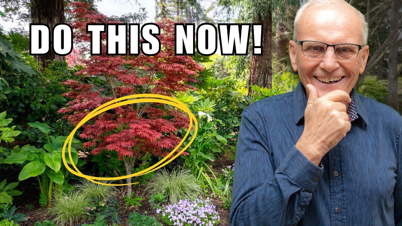 The Only 7 Tips You Need for a Beautiful Landscape in Spring