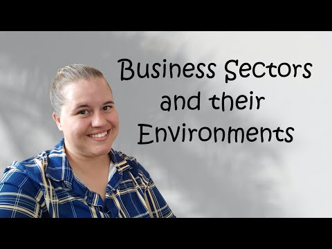 Business Sectors and their Environments | Grade 12 | Business Studies