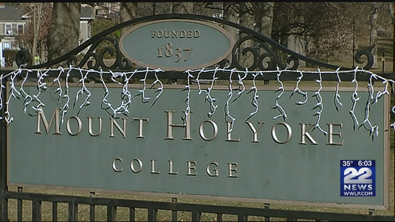 Proposed Mount Holyoke logo causes controversy within community
