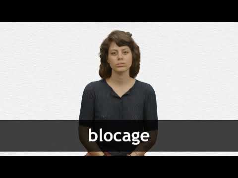 English Translation of “BLOCAGE” | Collins French-English Dictionary