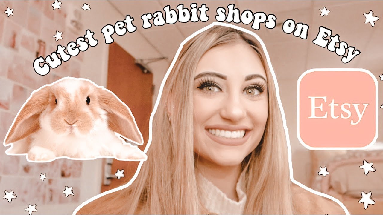 CUTEST PET RABBIT SHOPS ON ETSY!!