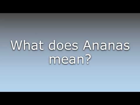 What does Ananas mean?