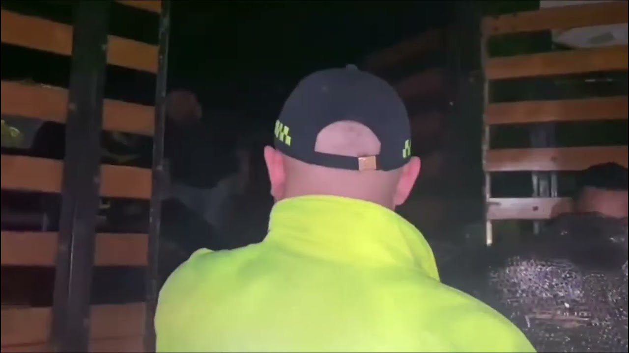 Incautan más de una tonelada de marihuana en una vivienda del barrio Sinaí