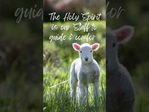 Thy Rod and Thy Staff Explained | #Psalm 23 #shorts