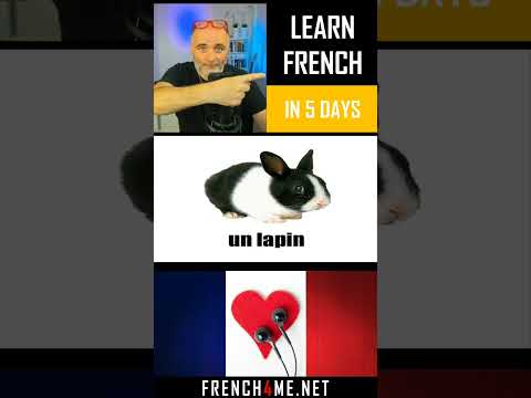 Learn French in 5 Days I Learn 1 Word I Les animaux #32
