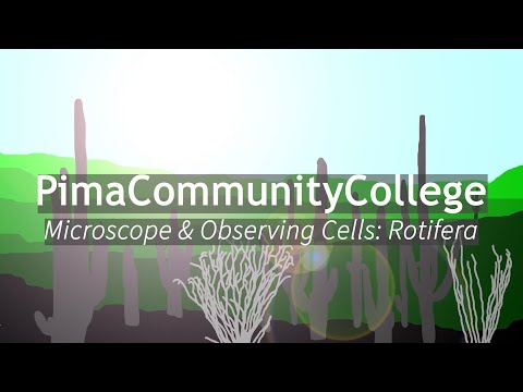 BIO 181: Microscope & Observing Cells: Rotifera