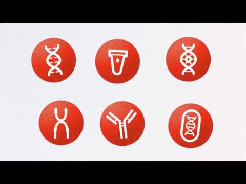 WindoPath Pricing, Alternatives & More 2025 | Capterra