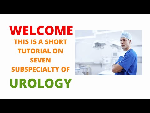 Urology Medical Terminology Seven Urologist Subspecialty Male & Female Urinary Tract Treatment