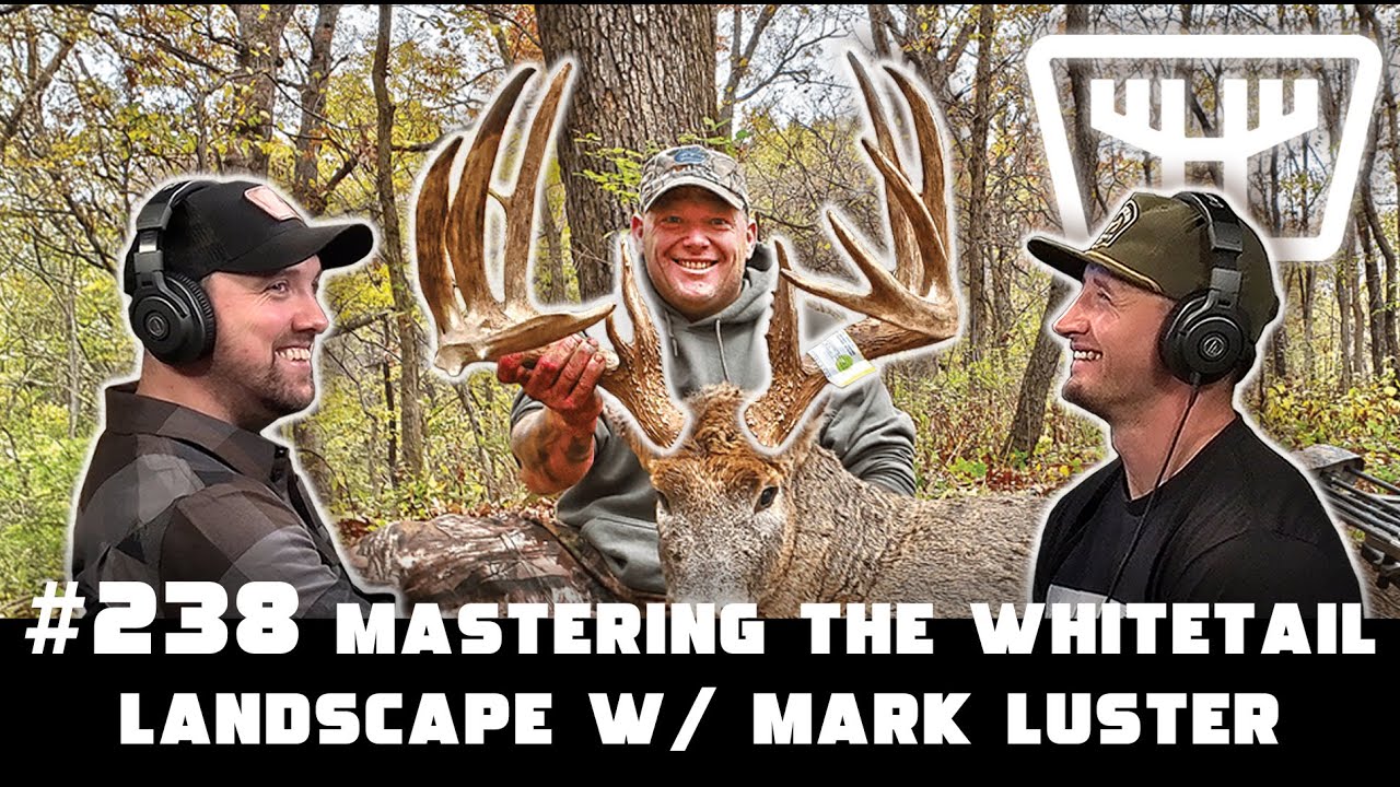 Mastering the Whitetail Landscape: Insights from Mark Luster on the ...