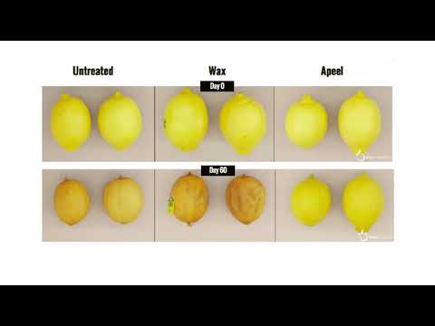 Evaluation of the Apeel Sciences Edipeel Coating – for the Canadian Market