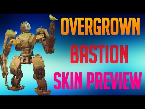 The 15 Best Overwatch Skins that Look Awesome | GAMERS DECIDE