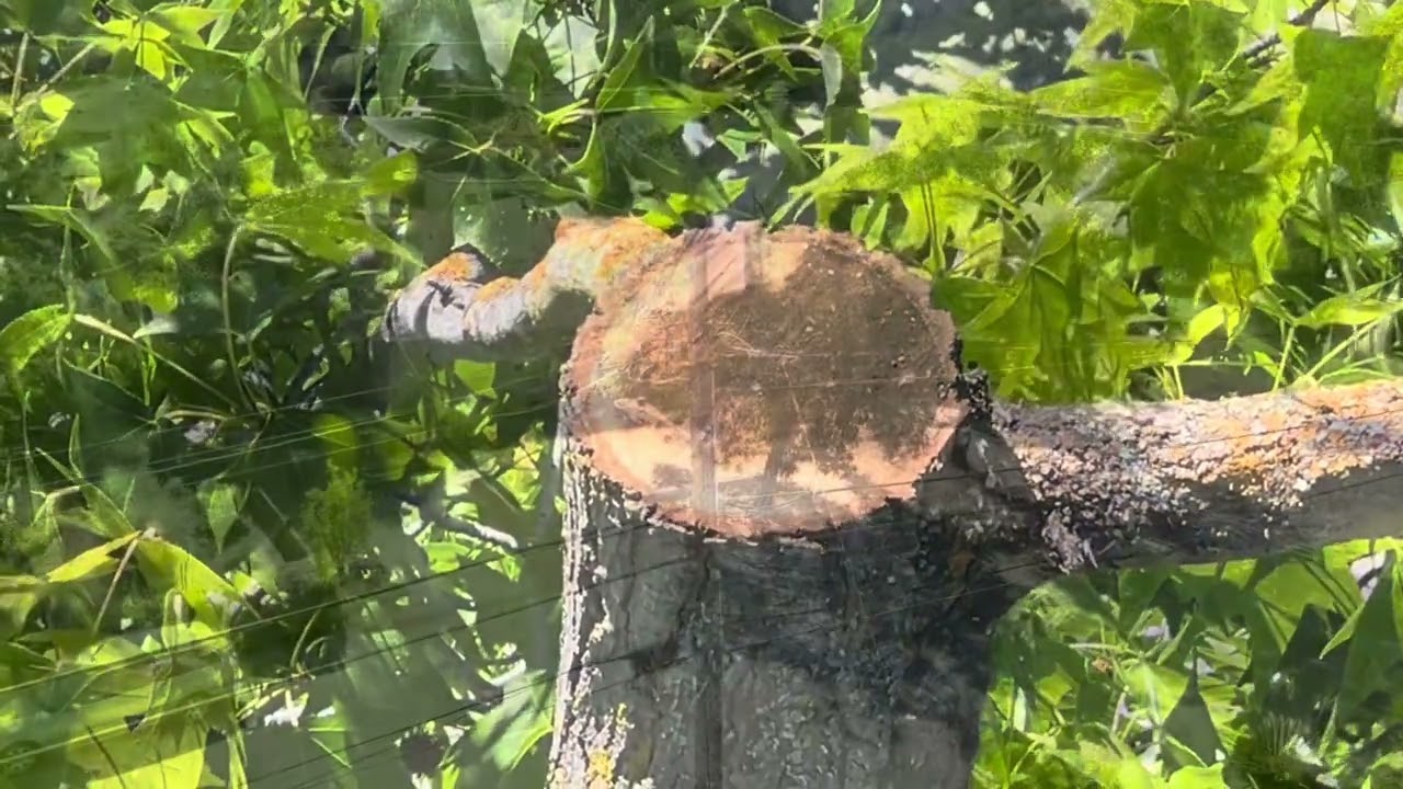 Is topping always wrong?