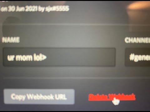 how to delete a discord webhook by using terminal or command prompt