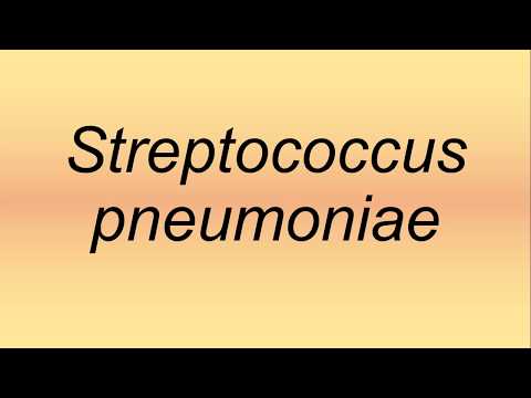 ππ©π§ππ₯π©π€ππ€πππͺπ¨ π₯π£ππͺπ’π€π£πππ Pronunciation | How to Say | How to Pronounce