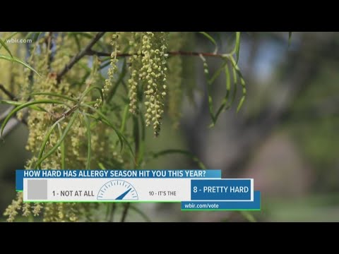 Pollen season beginning to kick into overdrive in East TN
