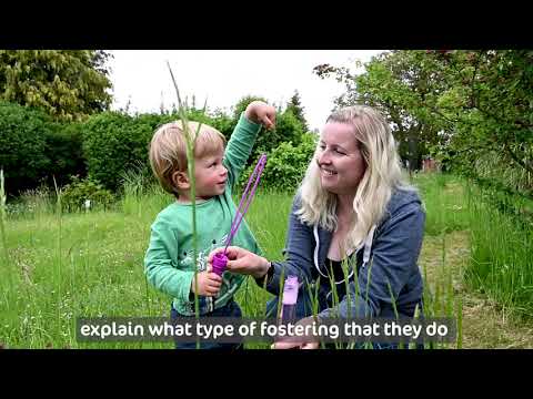 What is the Hampshire Hive for foster carers?