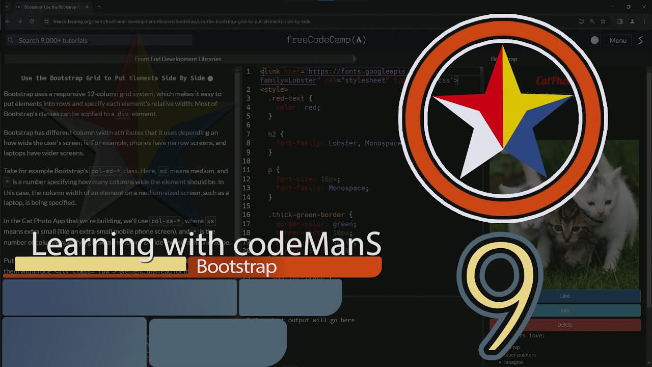 Use the Bootstrap Grid to Put Elements Side By Side | Bootstrap | freeCodeCamp