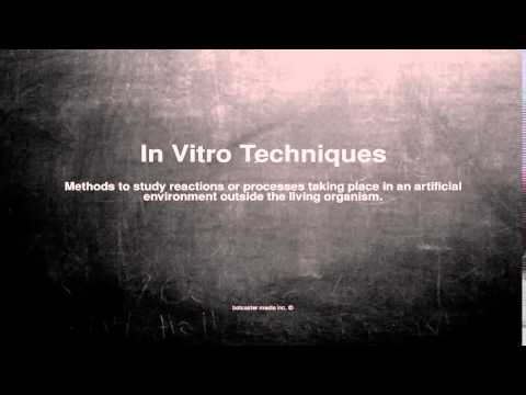 Medical vocabulary: What does In Vitro Techniques mean