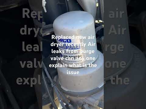 Air dryer leaking air on freightliner cascadia