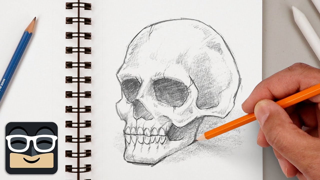 How to Draw a Realistic Skull | Step by Step Sketch Tutorial