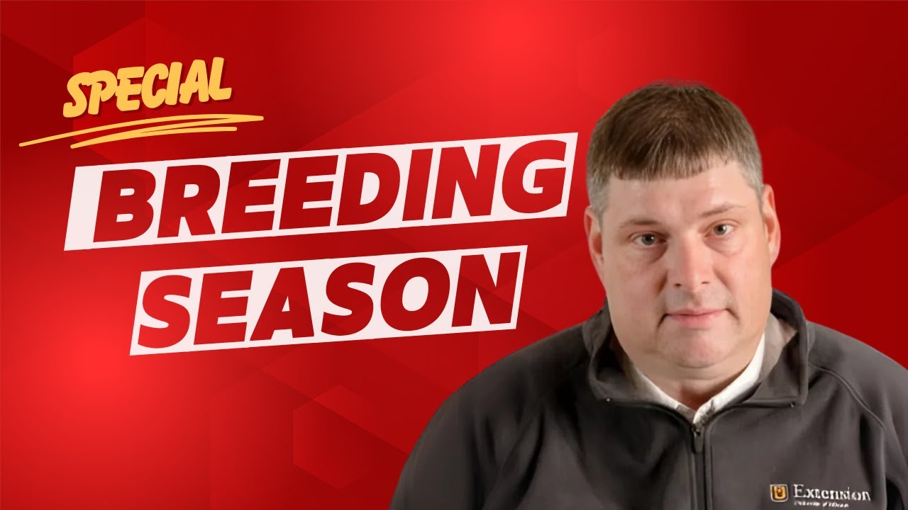 Dr. Patrick Davis: Heifer Development Keys