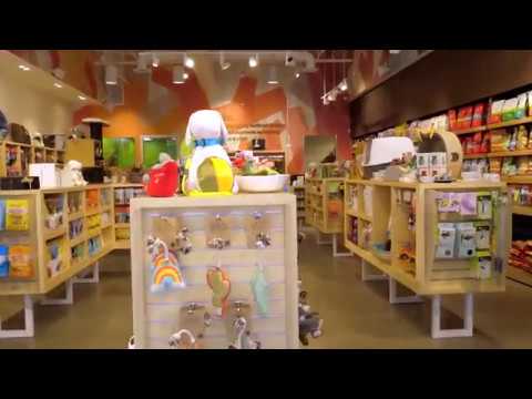 Healthy Spot Playa Vista