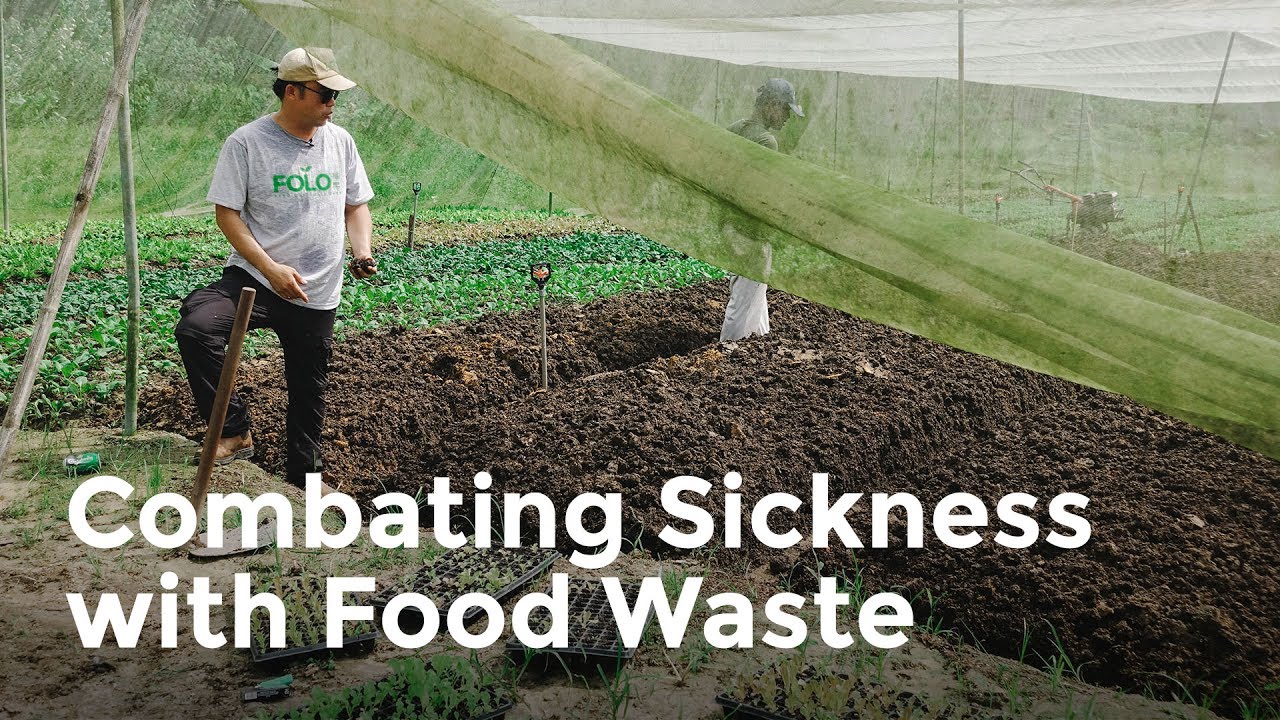 'You Are What You Eat', FOLO Farm Takes Healthy Food Seriously - Green ...