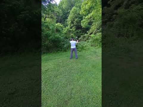 Percussion cap muzzle loader