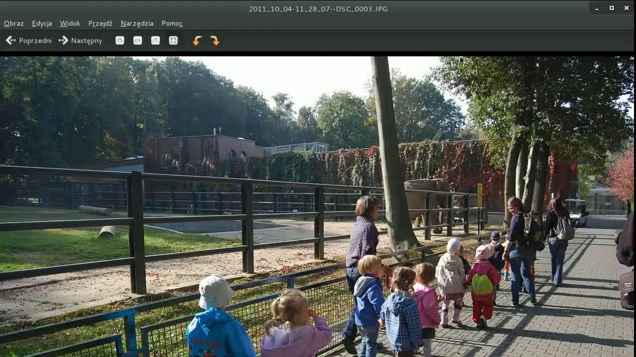 Practically bash programming: Resizing multiple images
