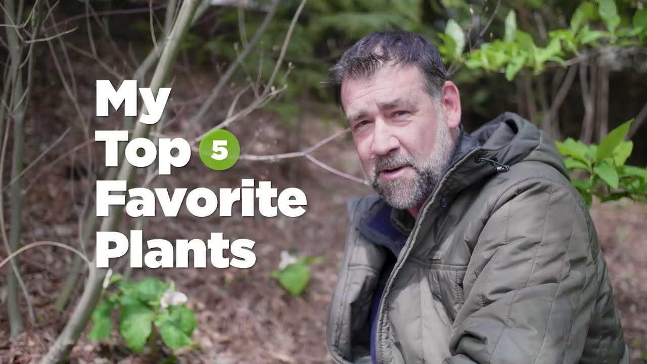 SAM | Seattle Art Museum, Seattle Asian Art Museum, Olympic Sculpture Park