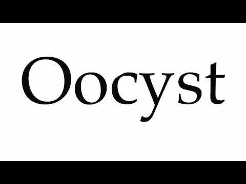 How to Pronounce Oocyst