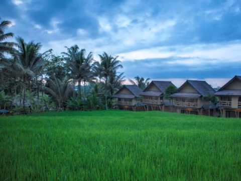 Hotel murah di jl kaliurang yogyakarta