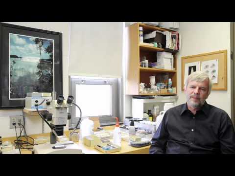 Science at FMNH -- Human Impact on Ecosystems