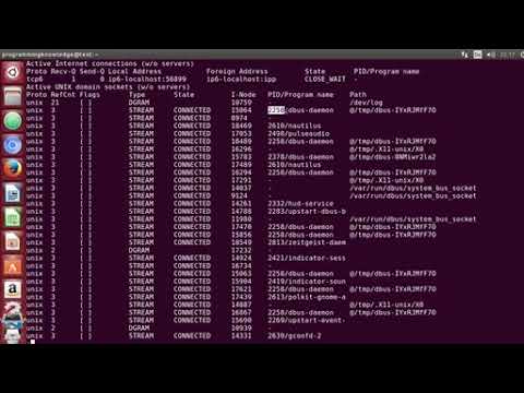 Ubuntu Lesson 38: Netstat Command - Tutorial For Beginners