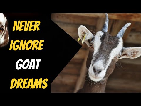What does it mean? of Seeing Goat in a Dream.
